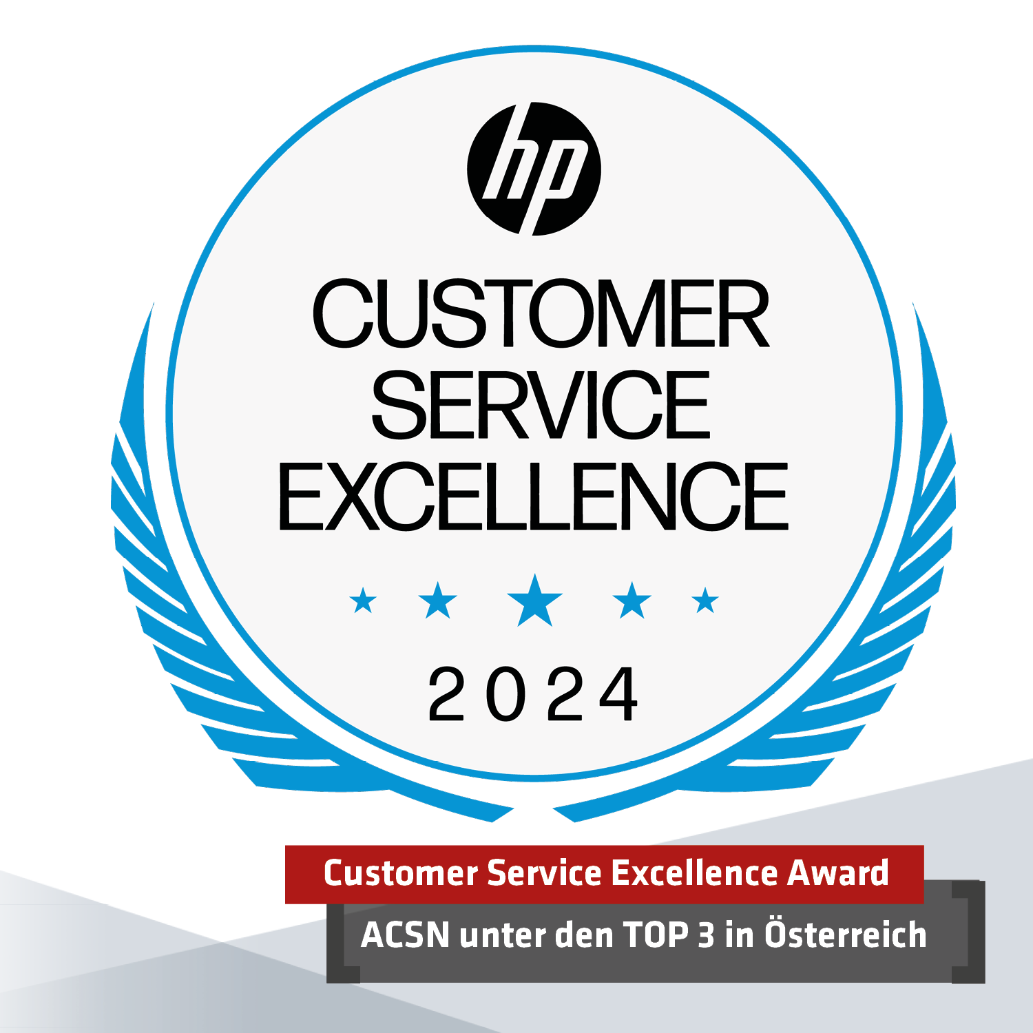 Customer Service Excellence Award - Infotech
